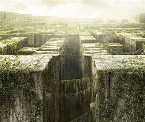 메이즈러너 1 메이즈러너 1