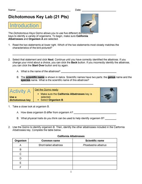 Dichotomous Key Gizmo Lab Report Name