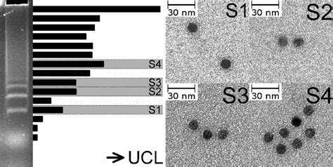 Correlation Between Electrophoretic Mobility And Aggregation Of