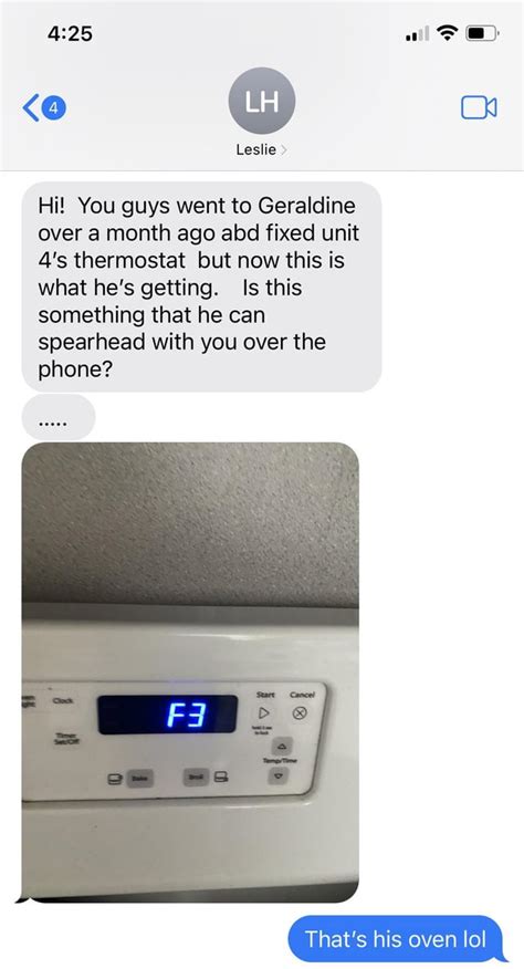 What Does A Cobweb Spider Look Like I Had To Fight A Massive Jungle Of Cobwebs Today And I