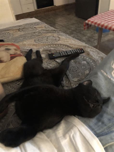 My Dad Wont Wake Up What Do I Do Rlies