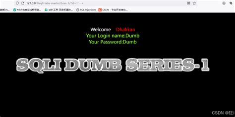 Sql Labs 全关通关教程用 Sqlmap 通关sqli Labs Csdn博客