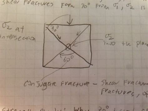 Structure Midterm Flashcards Quizlet