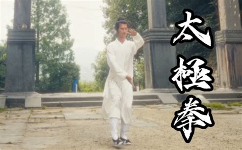 一套练习下盘极佳的武当十三式太极拳 武当韩湘子 武当韩湘子 哔哩哔哩视频
