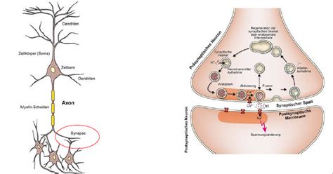 Artificial Neural Networks An Intuitive Approach Part 1 By Niketh