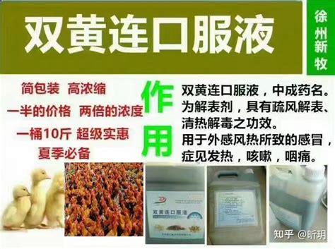 鹅抱窝催醒的正确方法 鹅抱窝是什么症状 鹅抱窝怎么处理好 催醒鹅抱窝的方法 鹅怎么让他停止抱窝 鹅抱窝有什么表现 知乎