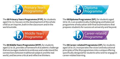 Ib 项目及评估方式 知乎