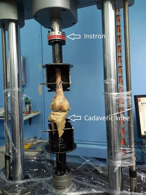 Experimental Setup With Testing Machine E Instron Canton MA Download Scientific Diagram