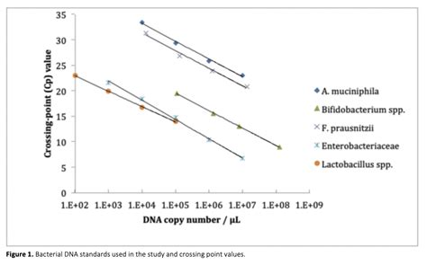Comparison Of Bacterial Dna Extraction Methods From Stool Samples For Quantitative Real Time Pcr