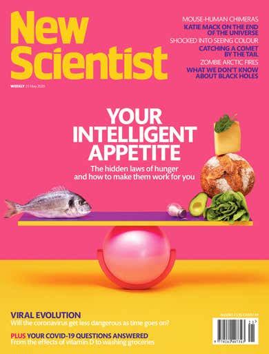 Issue 3283 Magazine Cover Date 23 May 2020 New Scientist