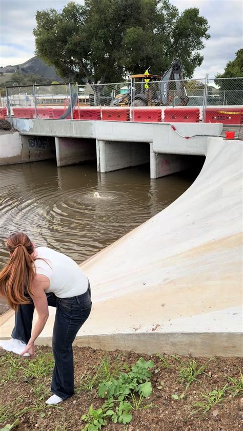 Ranking Top 3 Best Kdb Assists Mindology Mindologyhub