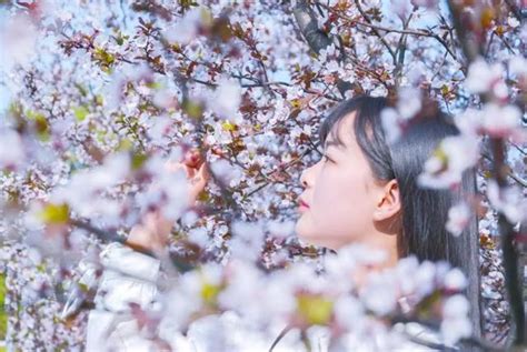 嗨來鹽工看花嗎 每日頭條