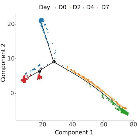 The Diffusion Process Driven By Brownian Motion Is Used To Model The Download High Quality
