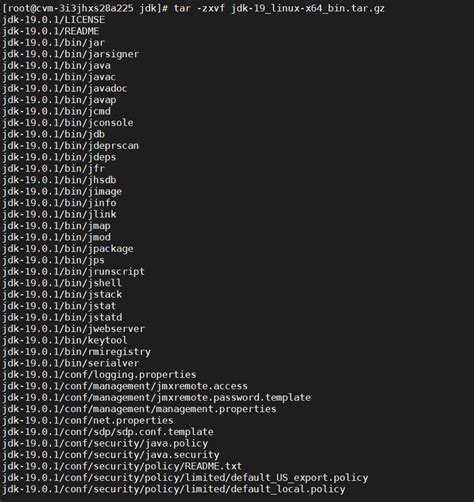 Java基础：linux环境下安装最新jdk19（centos7）jdk19文件位置 Csdn博客