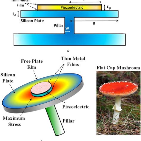 Proposed Structure A Cross‐section Of The Proposed Transducer Design Download Scientific