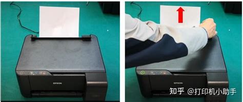 爱普生3158打印机卡纸了怎么取？ 知乎