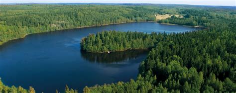 Home Hoffman Thornwood Ltd