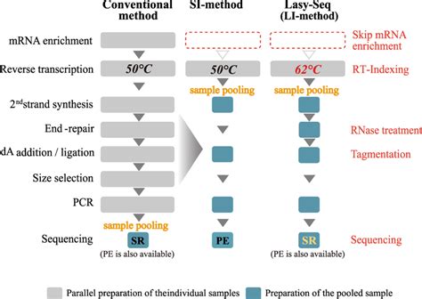 Comparison Of The Rna Seq Library Preparation Methods Steps Modified