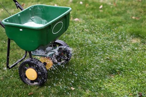 How To Fertilise Your Lawn Step By Step Guide All Turf Solutions