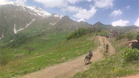 სვანეთი დოღი ტესტ Youtube