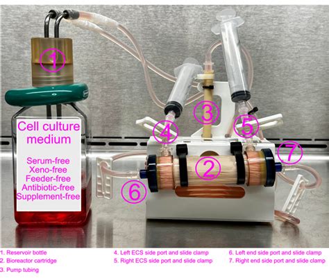 Scalable Biomanufacturing Workflow To Produce And Isolate Natural