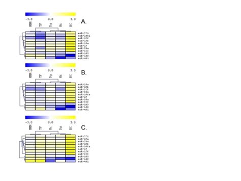 Hierarchical Clustering Analysis Of Mirna Expression Data A
