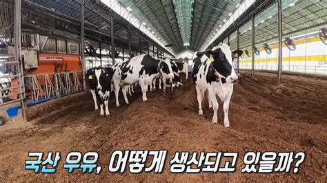 건강하고 맛있는 ‘국산 우유 생산 과정 Youtube