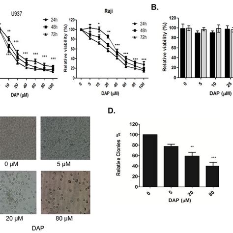 Dap Suppressed Tumor Growth In An Aml Mouse Model U937 Cells Were Download Scientific Diagram