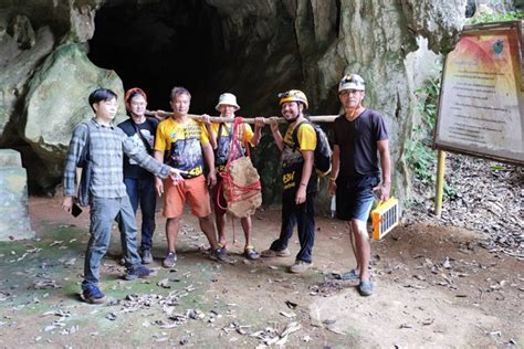 พบซากฟอสซิลฟันกรามแรด อายุ 2 แสนปี ในถ้ำยายรวก กระบี่