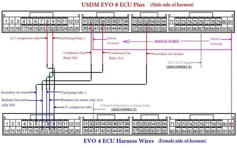 Understanding The Components Of An Ecu A Diagram