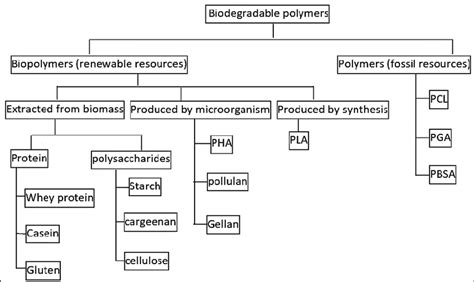 Biodegradable Polymers Adapted From Encyclopedia Of Membrane Download Scientific Diagram