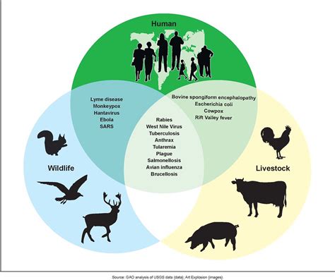 Figure 3 Examples Of Zoonotic Diseases And Their Affected Flickr