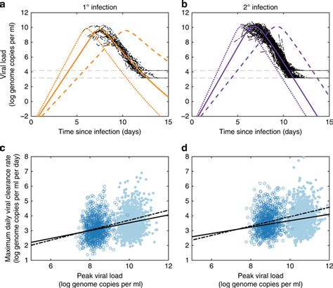 Within Host Model Dynamics Reproduce Empirically Observed Peak Viral