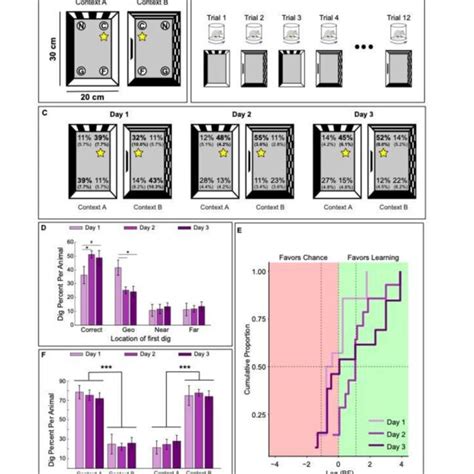 Reorientation Behavior In A Two Context Paradigm A Schematic Of