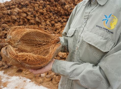 Coco Coir Vs Coco Peat Differences And Similarities