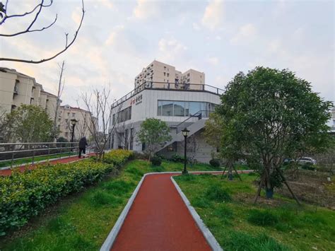上海长宁这个“阶梯式”生境花园即将开工，预计6月建成开放澎湃上海澎湃新闻 The Paper