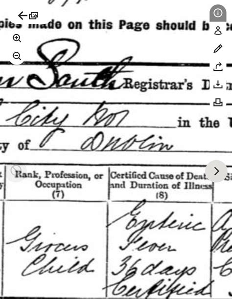 Can Someone Help Me Decipher These Two Boxes R Ancestry