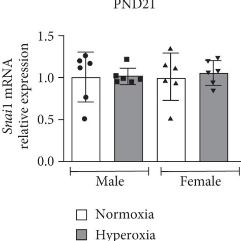 Differential Sex Specific Expression Of Snai1 In Neonatal Mice After Download Scientific