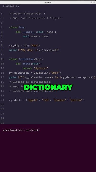 Python Basics Simplified Classes And Structures Programming Python Coding Pythonforbeginners
