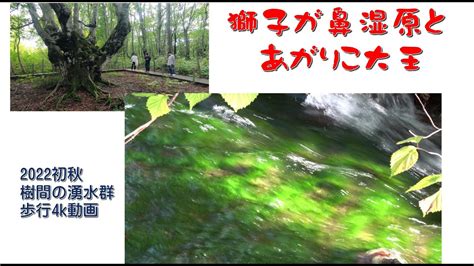 秋田県にかほ市 獅子が鼻湿原とあがりこ大王 2022初秋 YouTube