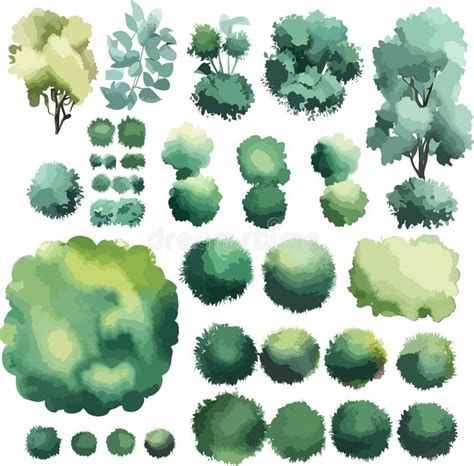 Incredible Trees Bushes Shrubs Top View Vector Stock Vector Illustration Of Forest Wood