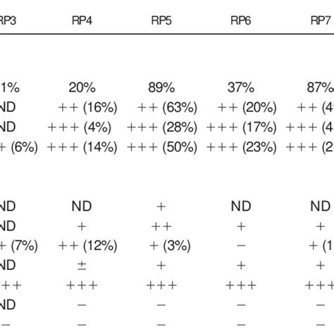 Phenotype Of Plasma Cells From Rps The Phenotype Of Plasma Cells Was Download Scientific