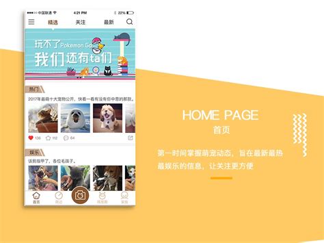 App Ios Zcool