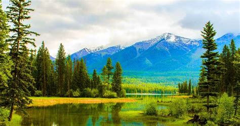 What Is Tone Mapping In Tv Static Vs Active Dynamic Tone Mapping