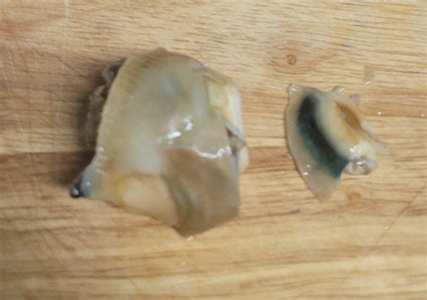 소라 삶기와 삶은 소라 손질법