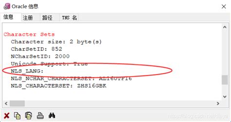 Plsql安装后弹出 ： Nlslang在客户端不能被确定字符集转变将造成不可预期的后果” 问题解法nlslang在客户端不能被确定 Csdn博客