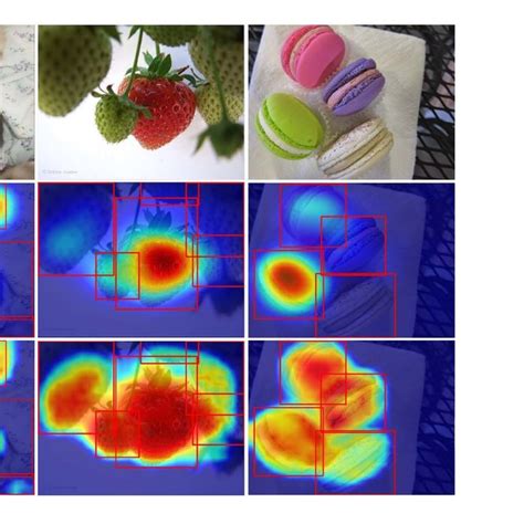 localization maps of some images from ilsvrc validation set with cam