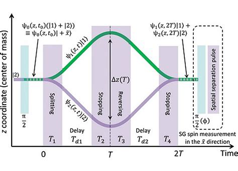 An Atom Chip Interferometer That Could Detect Quantum Gravity Spaceref