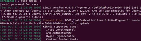 Linux Dmesg Command Syntax Options Examples