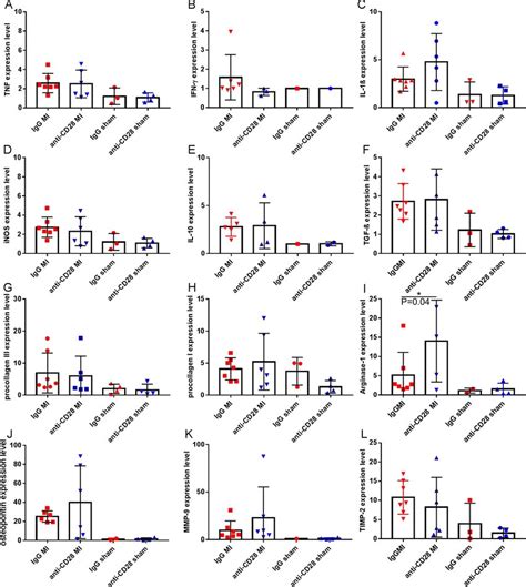 Quantitative Real Time Pcr Analysis Reflecting The Relative Download Scientific Diagram